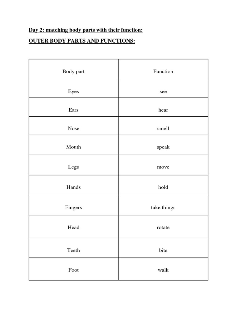 Day 2: Matching Body Parts With Their Function: Outer Body Parts and ...