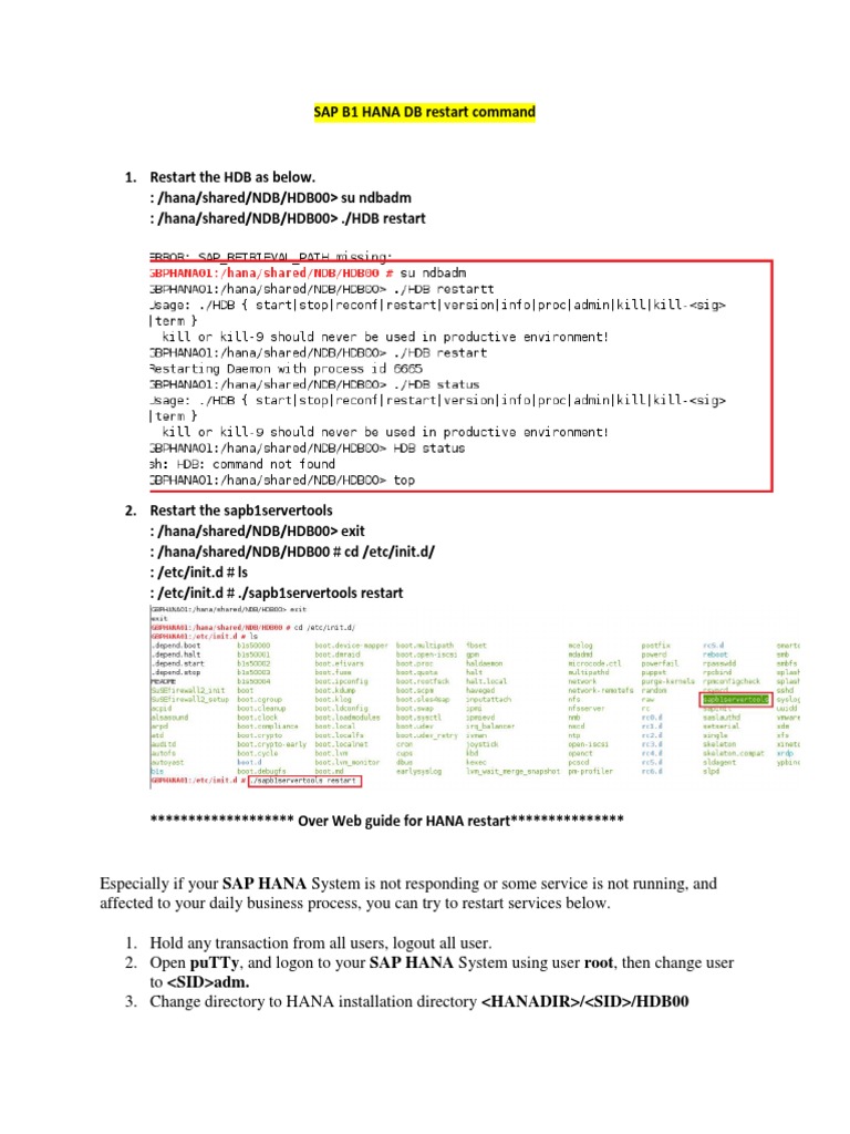 SAP B1 HANA DB Restart Command | PDF