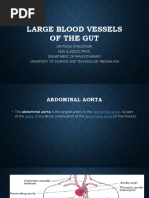 Blood Supply of the Gastrointestinal Tract | PDF | Anatomy | Stomach