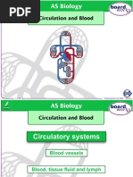 Tissue Fluid Formation in Capillaries | PDF | Lymph | Vein