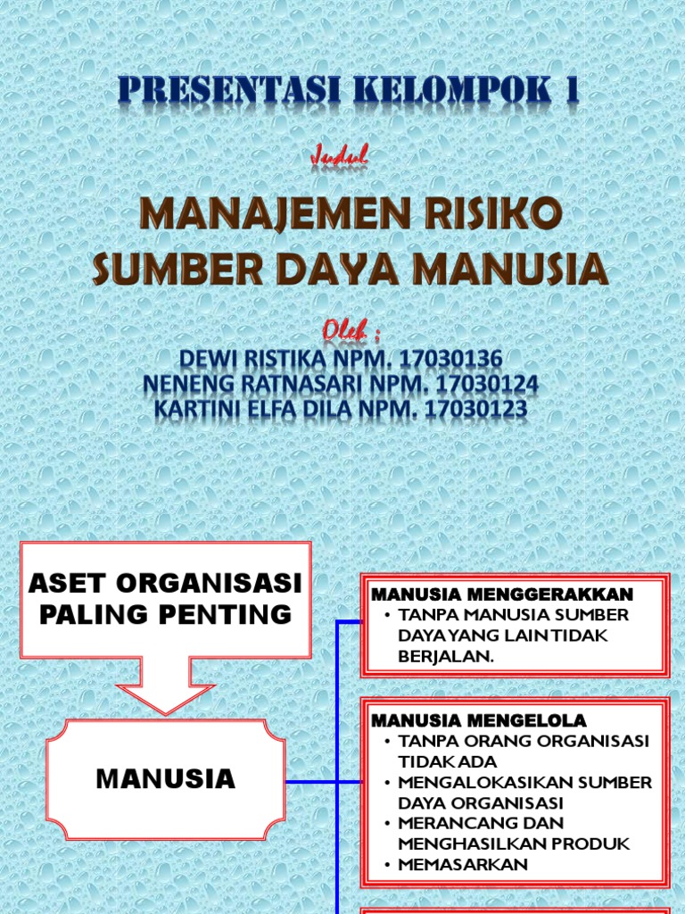 Manajemen Risiko SDM | PDF
