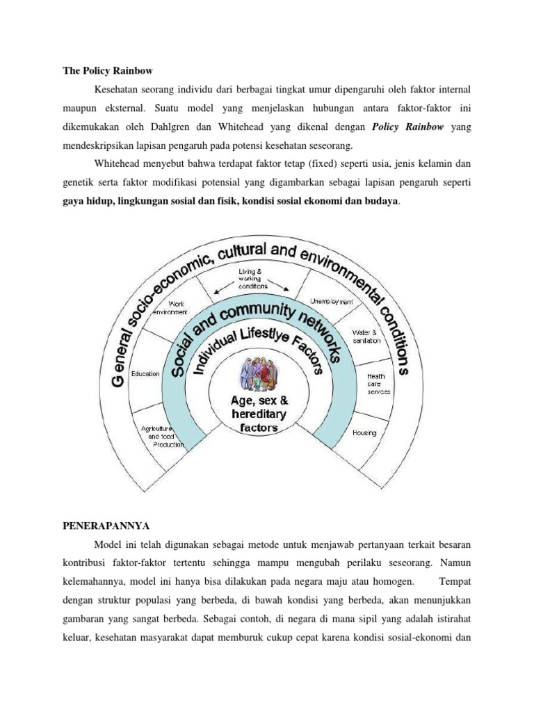 The Policy Rainbow | PDF