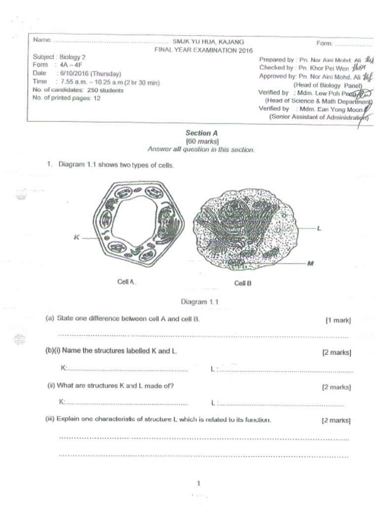 Bio Exam Paper f4 | PDF