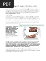 Halsted's Principles of Surgery Explained | PDF