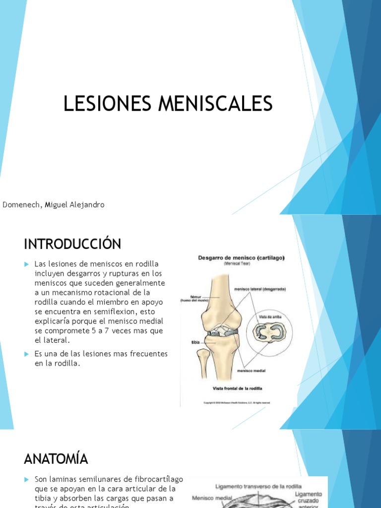 Lesiones Meniscales QX | PDF | Rodilla | Sistema musculoesquelético