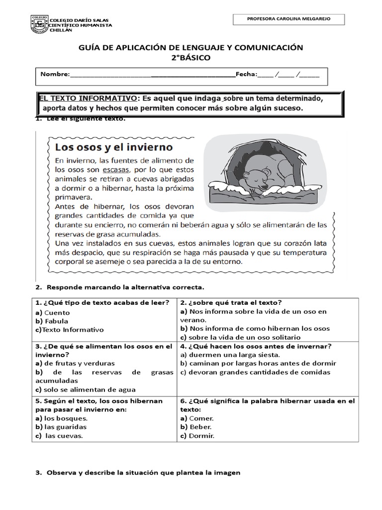 Texto Informativo | PDF | Osos