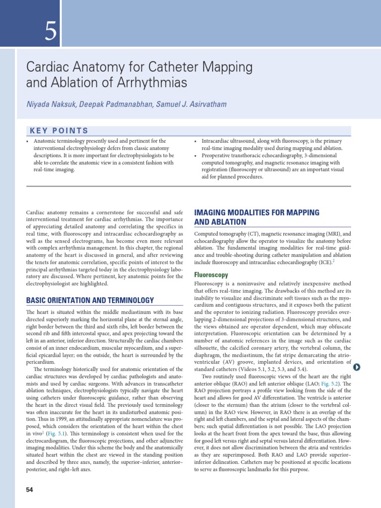 5 Cardiac Anatomy For Catheter Mapping and 2019 Catheter Ablation of ...