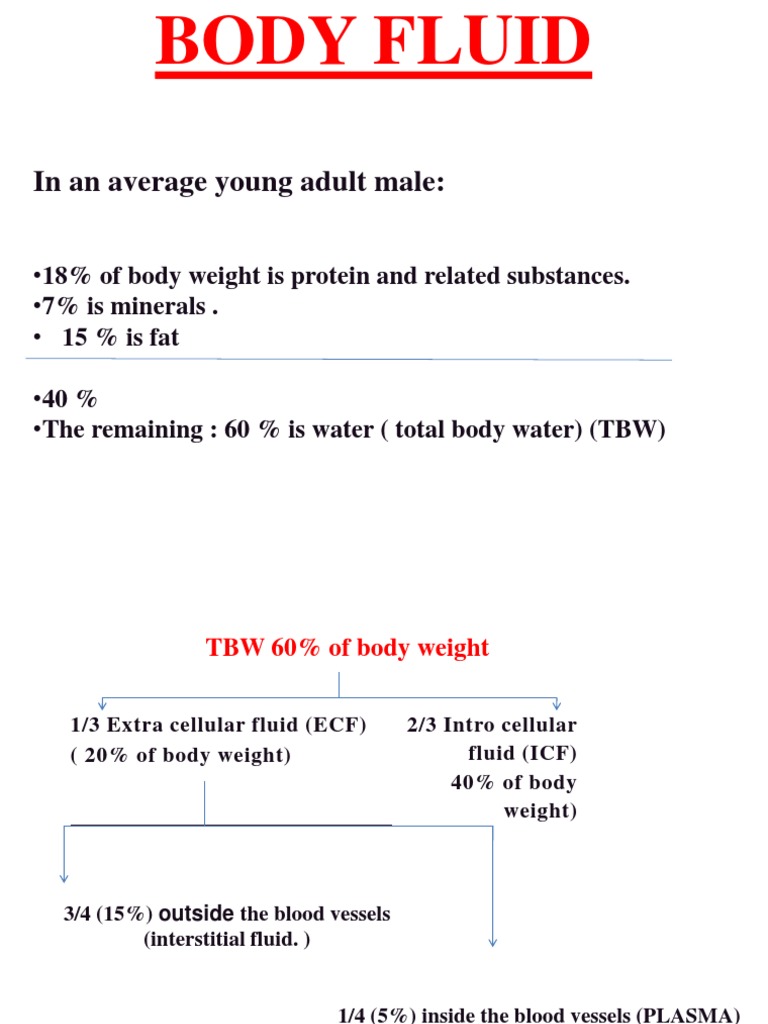 L1 Body Fluids | PDF | Animal Anatomy | Biology