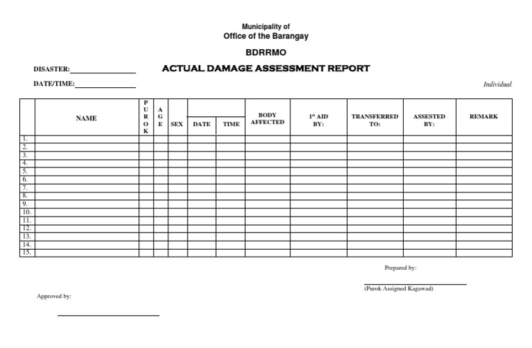Actual Damage Assessment Report | PDF