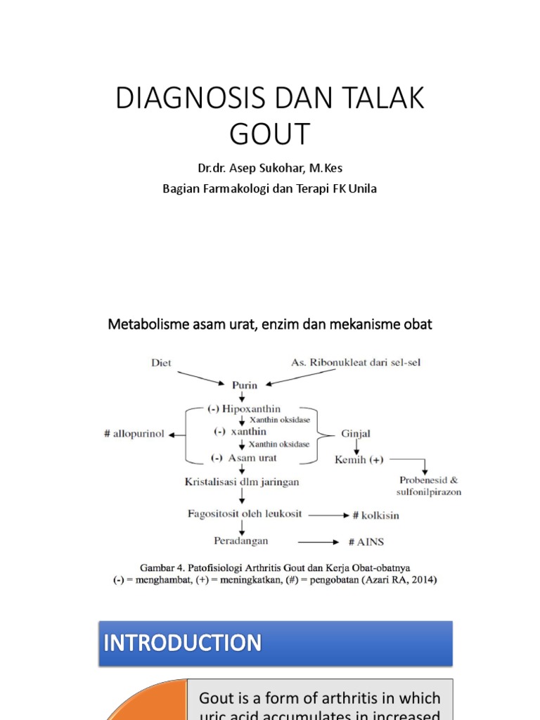Diagnosis Dan Talak Gout: DR - Dr. Asep Sukohar, M.Kes Bagian Farmakologi Dan Terapi FK Unila ...