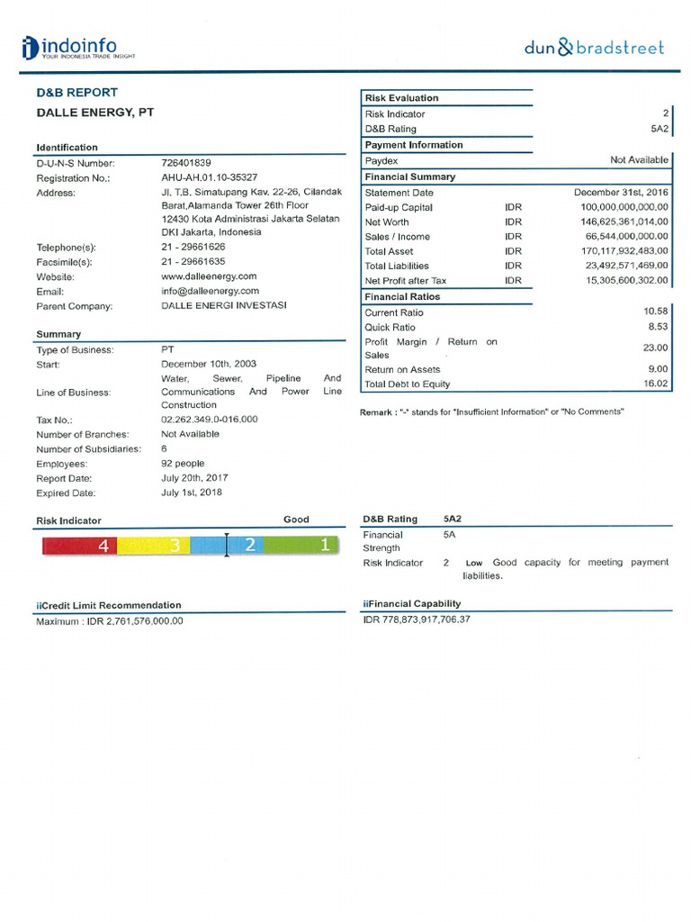 DNB Rating 2017 PDF | PDF