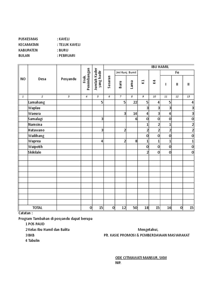 Contoh Format Posyandu | PDF