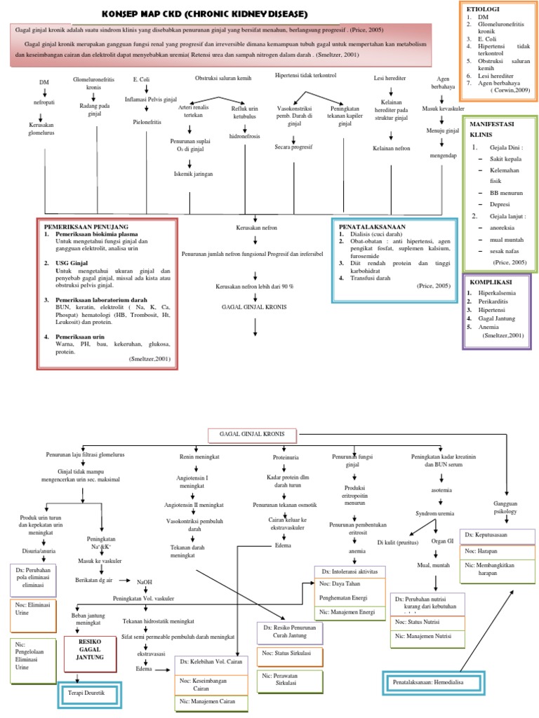 Pathway CKD | PDF