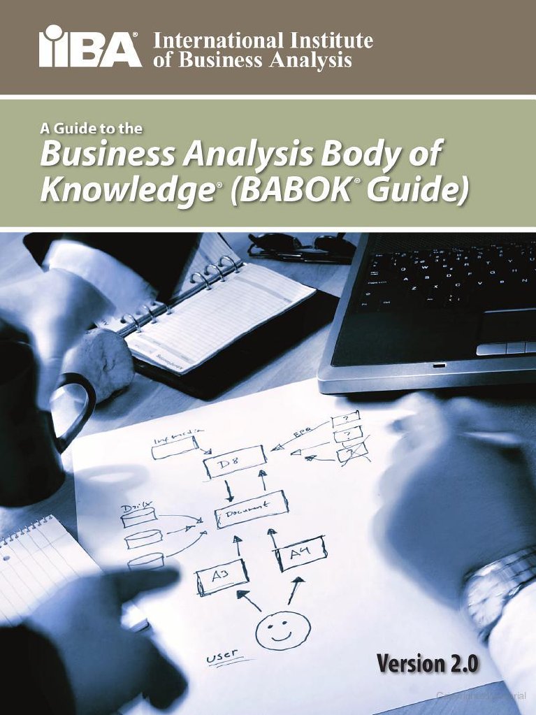 A Guide To Babok | PDF