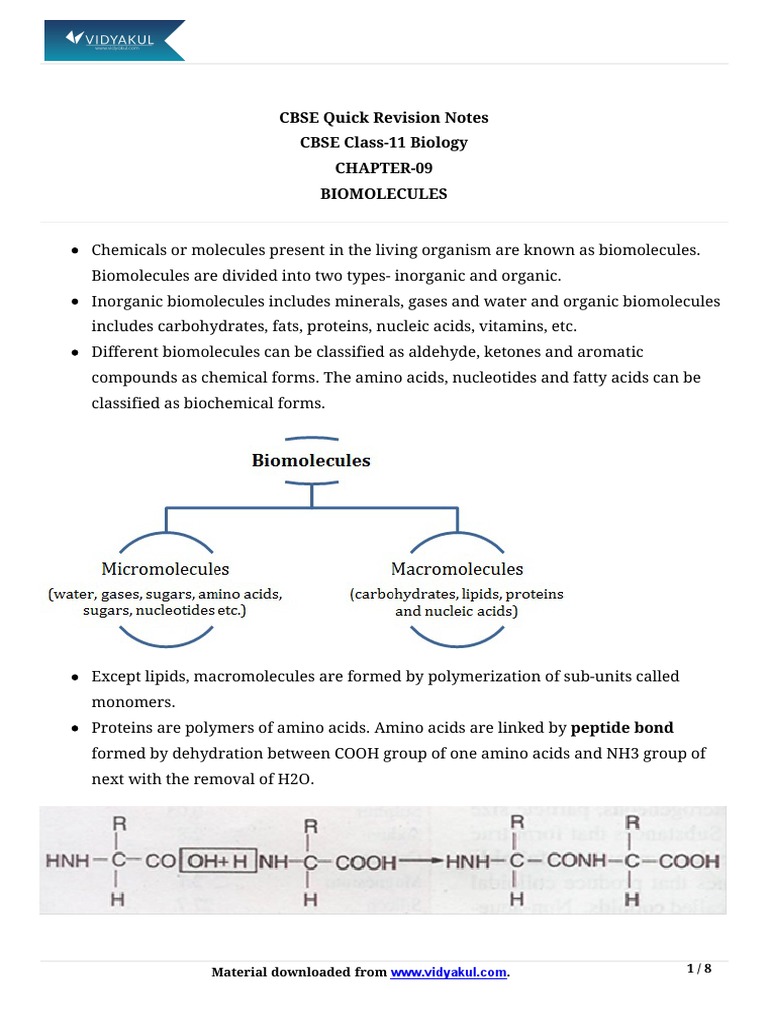CBSE Quick Revision Notes CBSE Class-11 Biology Chapter-09 Biomolecules ...