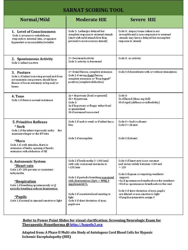 Sarnat Scoring Tool: Normal/Mild Moderate HIE Severe HIE | PDF | Nervous System | Medical ...