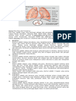 Segmen dan Fungsi Lobus Paru-paru | PDF
