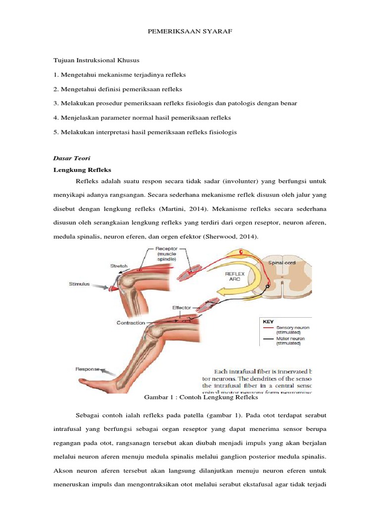Pemeriksaan Syaraf | PDF