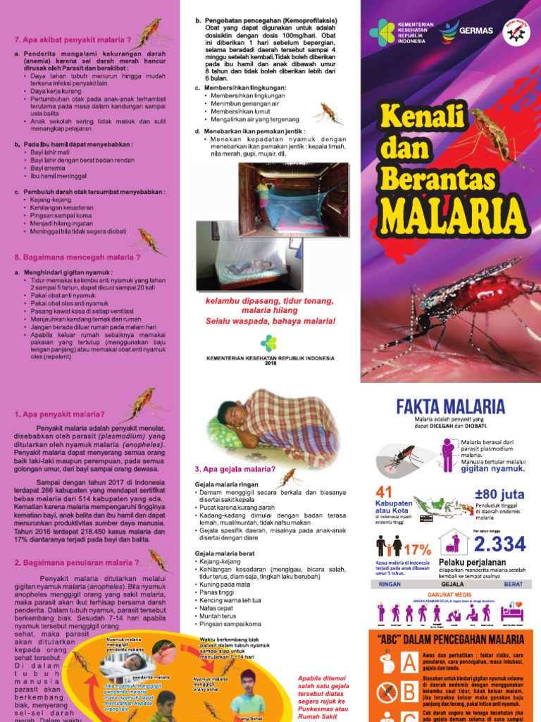 Leaflet Kenali Dan Berantas Malaria 2018 | PDF