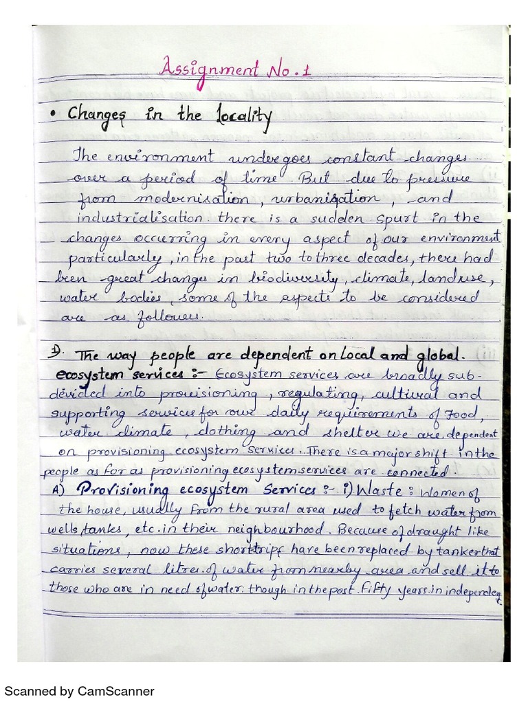 12th Std. EVS Handwritten Assignments 5 Nos PDF | PDF