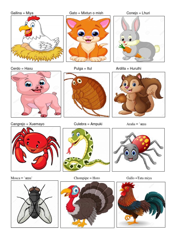 Nombres en maya yucateco de animales y objetos | PDF