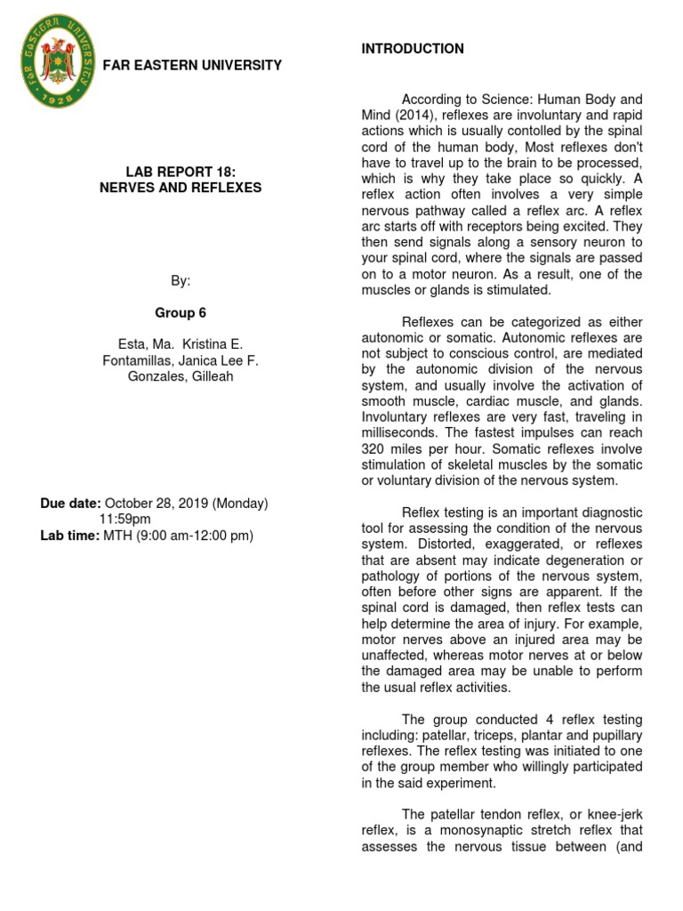 Lab Report Group 6 Nerves and Reflexes | PDF | Human Leg | Autonomic ...
