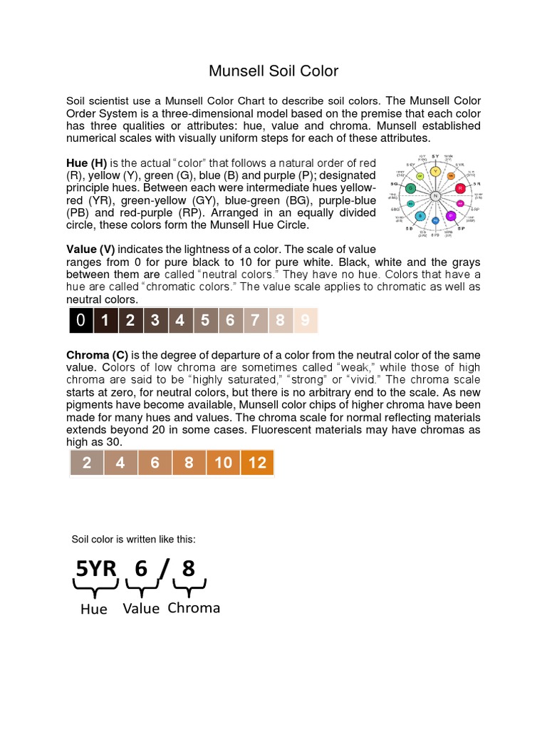 Munsell Color Chart 5yr
