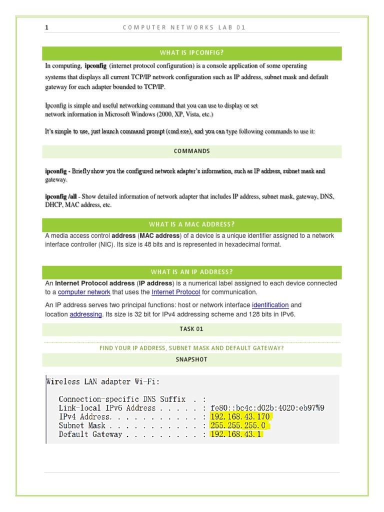 Lab 1 | Download Free PDF | Ip Address | Networking Standards
