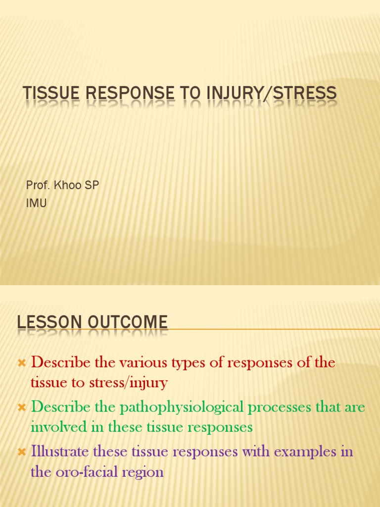 Tissue Repair and Regeneration: Understanding the Body's Response to ...