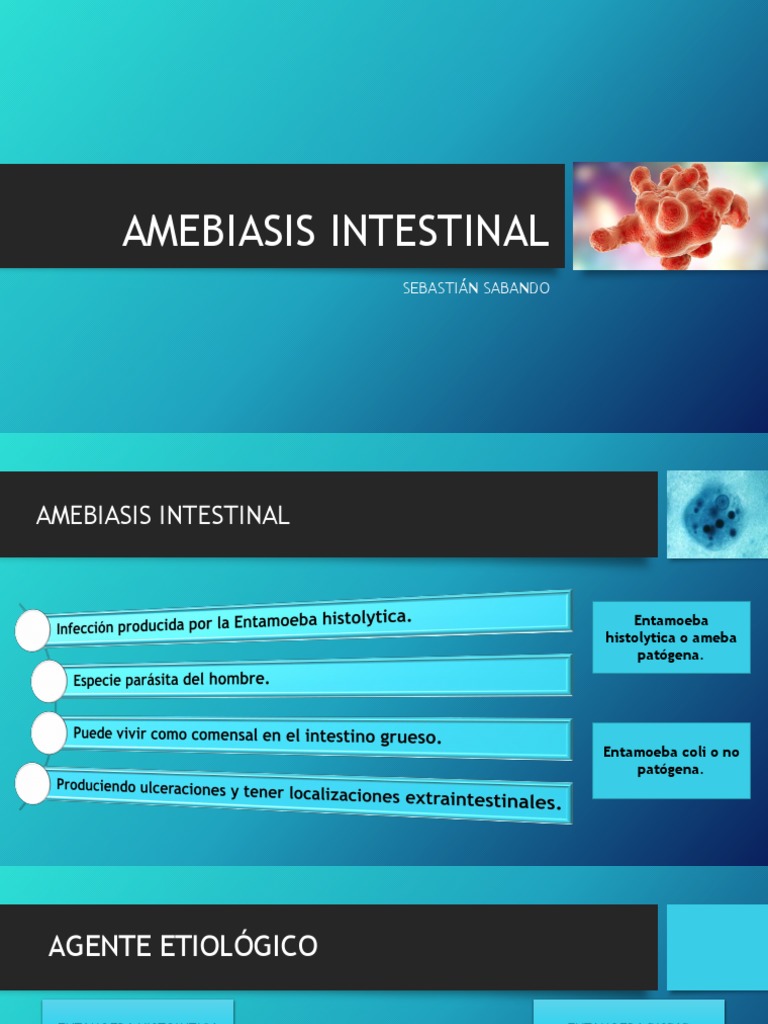 Amebiasis Intestinal | PDF | Epidemiología | Inmunología
