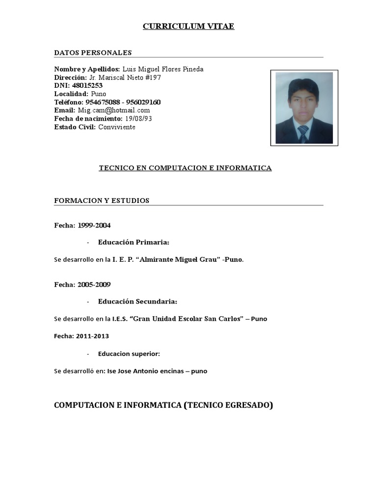 Curriculum Vitae | PDF | Informática | Educación avanzada