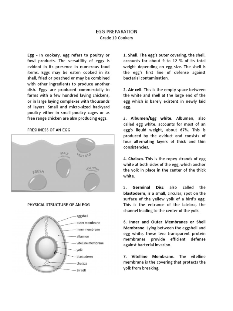 Egg Preparation: Egg - in Cookery, Egg Refers To Poultry or | PDF | Egg ...
