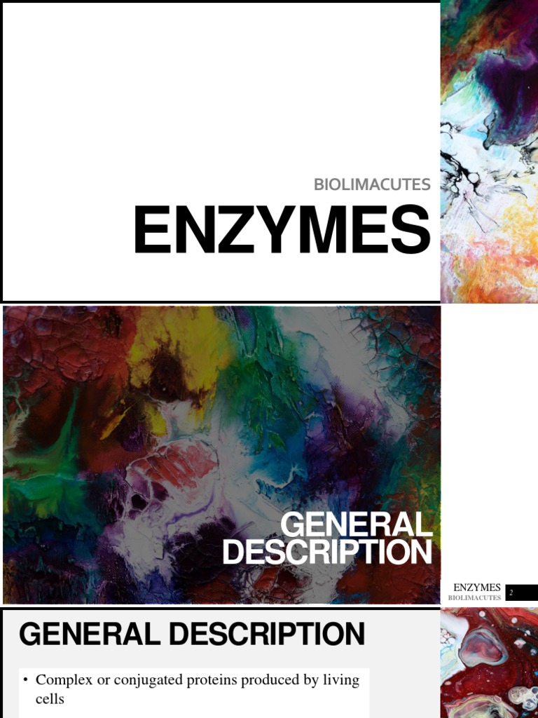 An In-Depth Look at Enzymes: Their Structure, Function, Types and the ...
