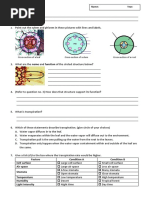Xylem and Phloem Comparison Worksheet | PDF | Plant Stem | Botany