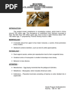 Primate Chart | PDF | Monkey | Ape
