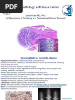Lodwick Classification for Bone Tumor Growth | PDF | Medical Imaging ...