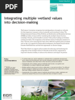 Save Wetlands Campaign - Brochure | PDF | Wetland | Conservation Biology