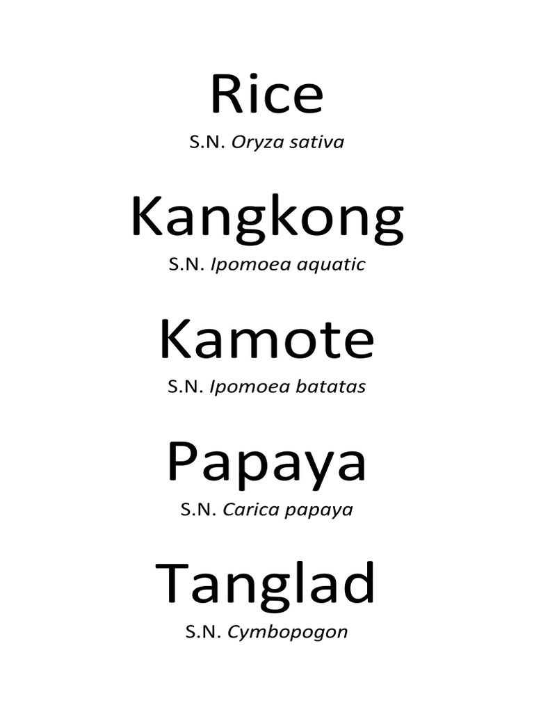 Rice Kangkong Kamote Papaya Tanglad: S.N. Oryza Sativa | PDF