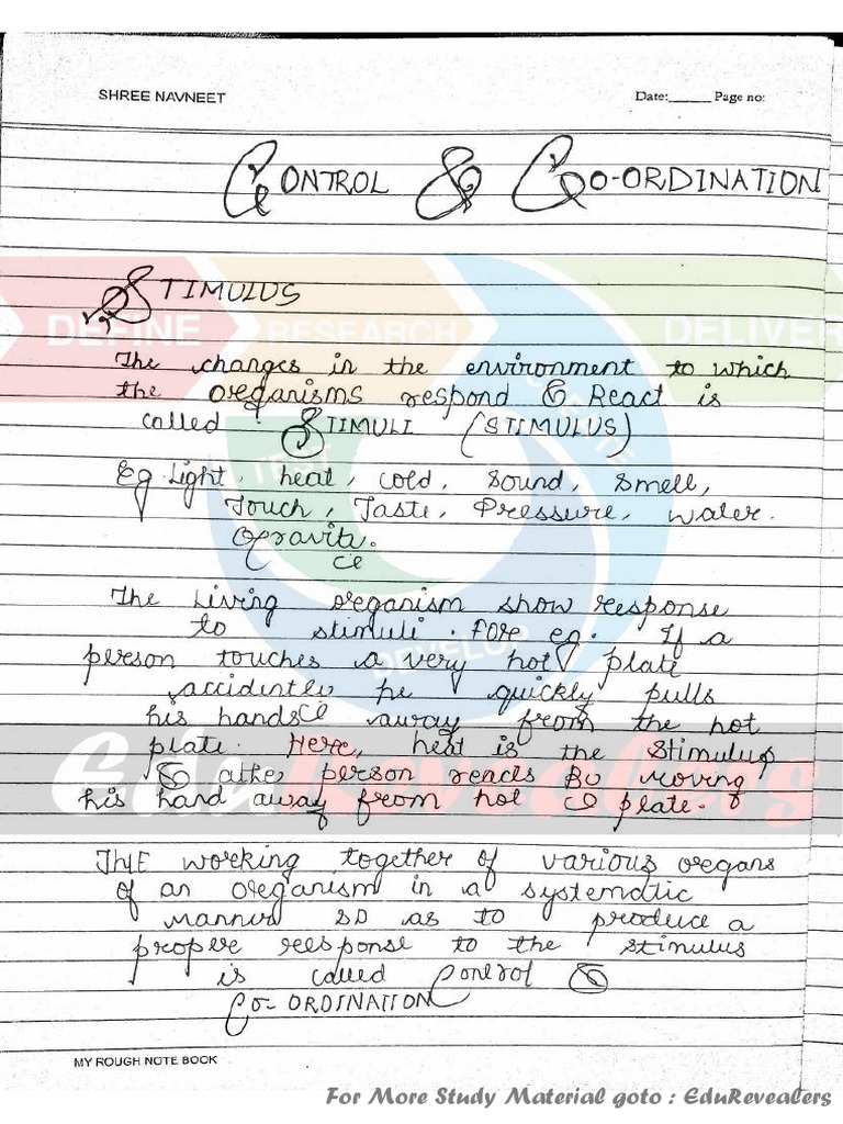 Chapter 7 - Control and Coordination | PDF