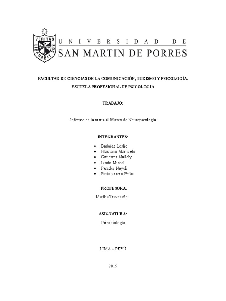 Informe Museo | PDF | Sistema nervioso central | Cerebro