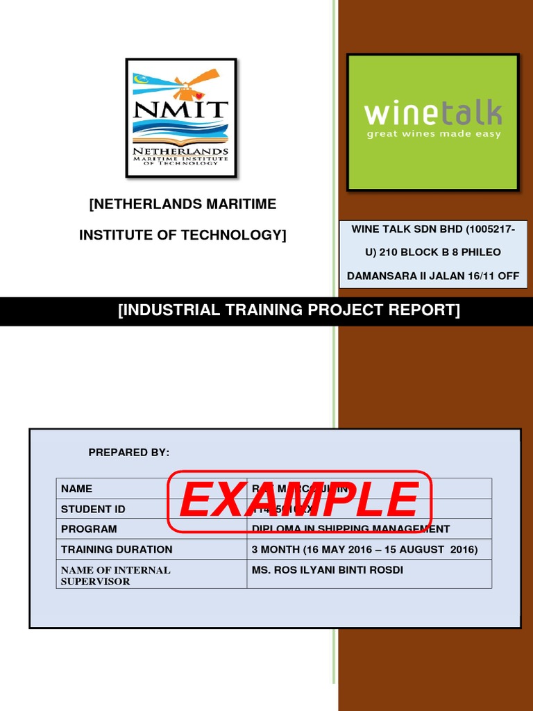 Example: (Industrial Training Project Report) | PDF | Inventory | Retail