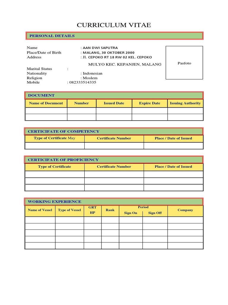 CV Pelaut Aan | PDF