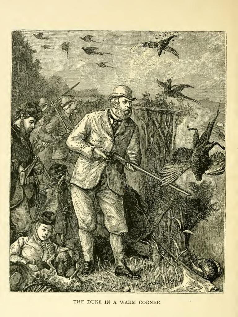 The Gun and Its Development | PDF | Rifle | Bullet