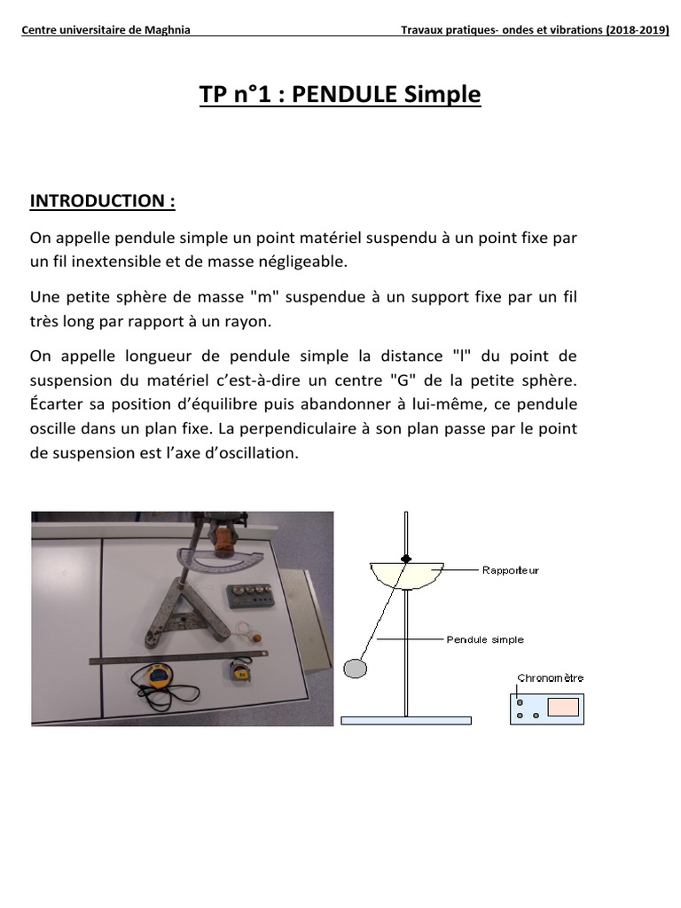 TP Pendule Simple | PDF | Pendule (physique) | Physique théorique