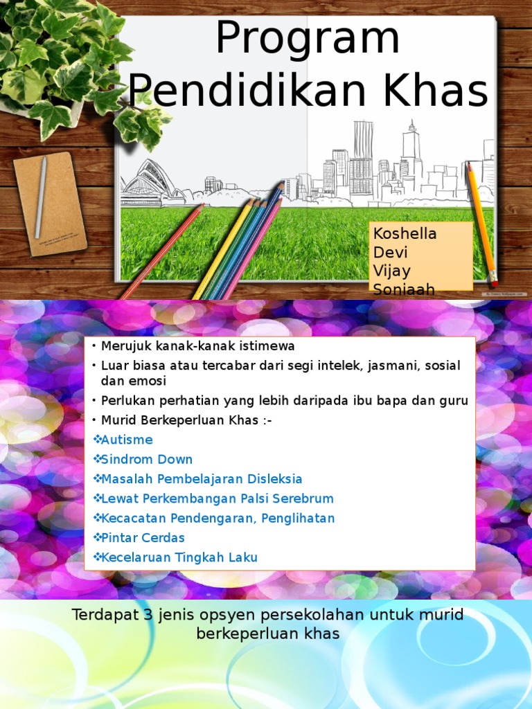 Program Pendidikan Khas | PDF