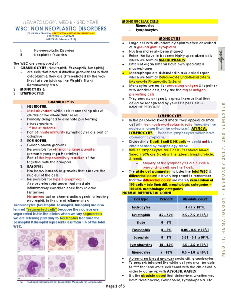 LIGHT Hema WBC Non Neoplastic | PDF | Granulocyte | White Blood Cell