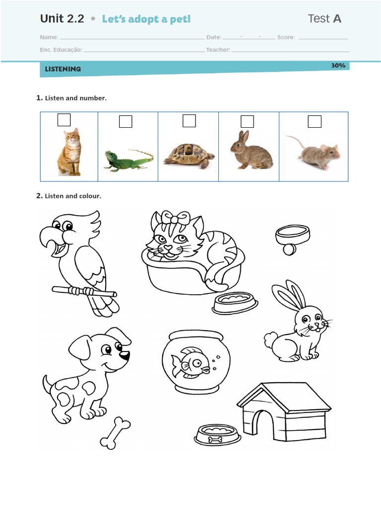 Interactive Pet Vocabulary Exercises | PDF