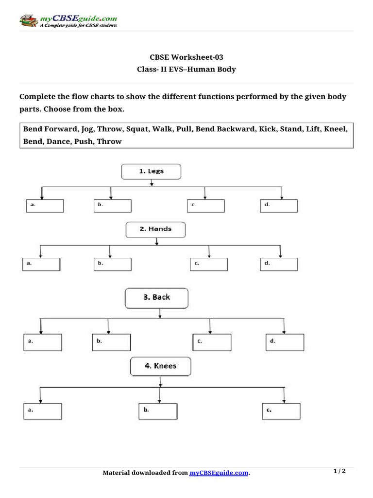 2 Evs Worksheet Ch3 3 | PDF