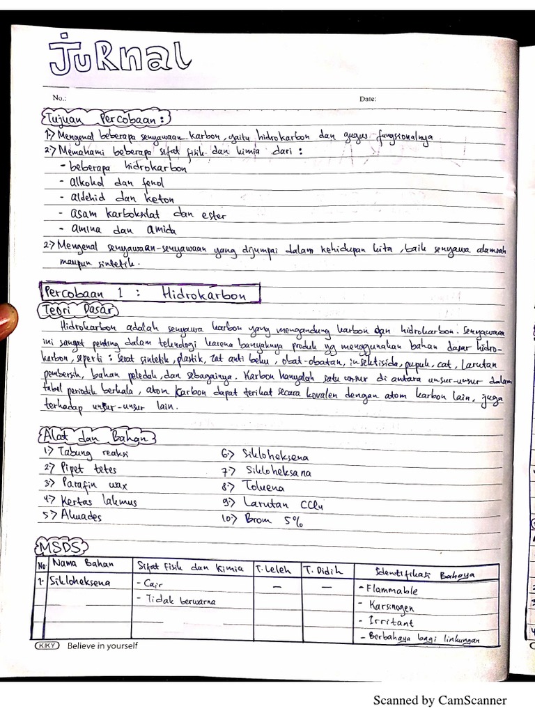 Jurnal - Senyawa Karbon | PDF