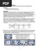 Enzyme Activity Lab Report - IB Biology | PDF | Enzyme | Catalase